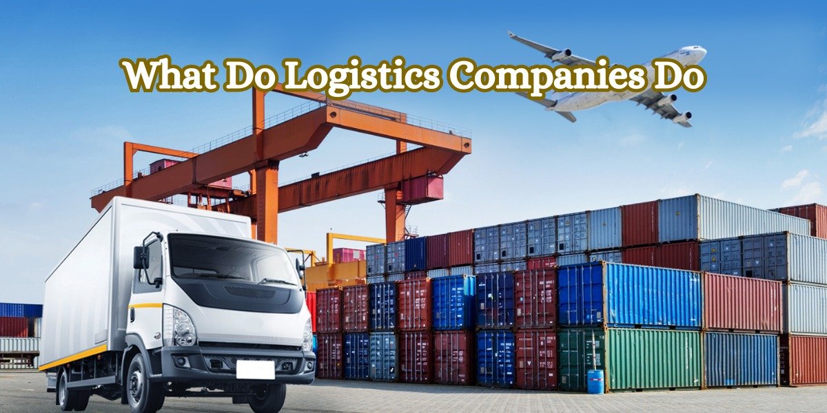 What Do Logistics Companies Do? - Unraveling Their Functions