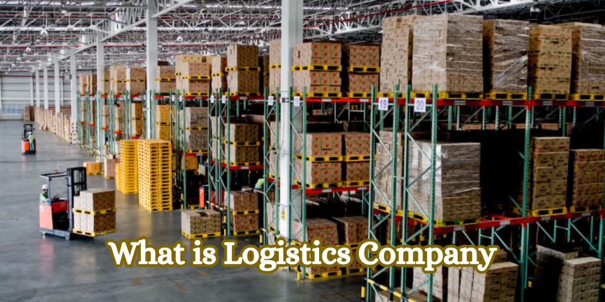 What is Logistics Company? Understanding the Basics